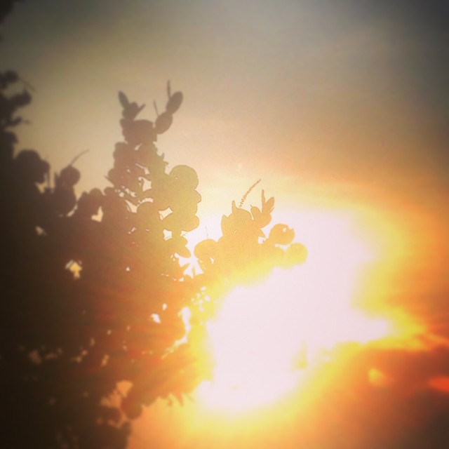 BURN. – victoria saavedra